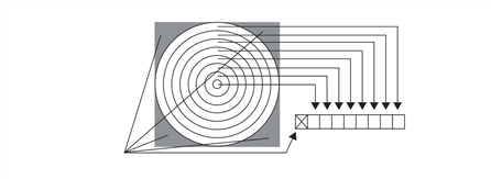 Circular Model